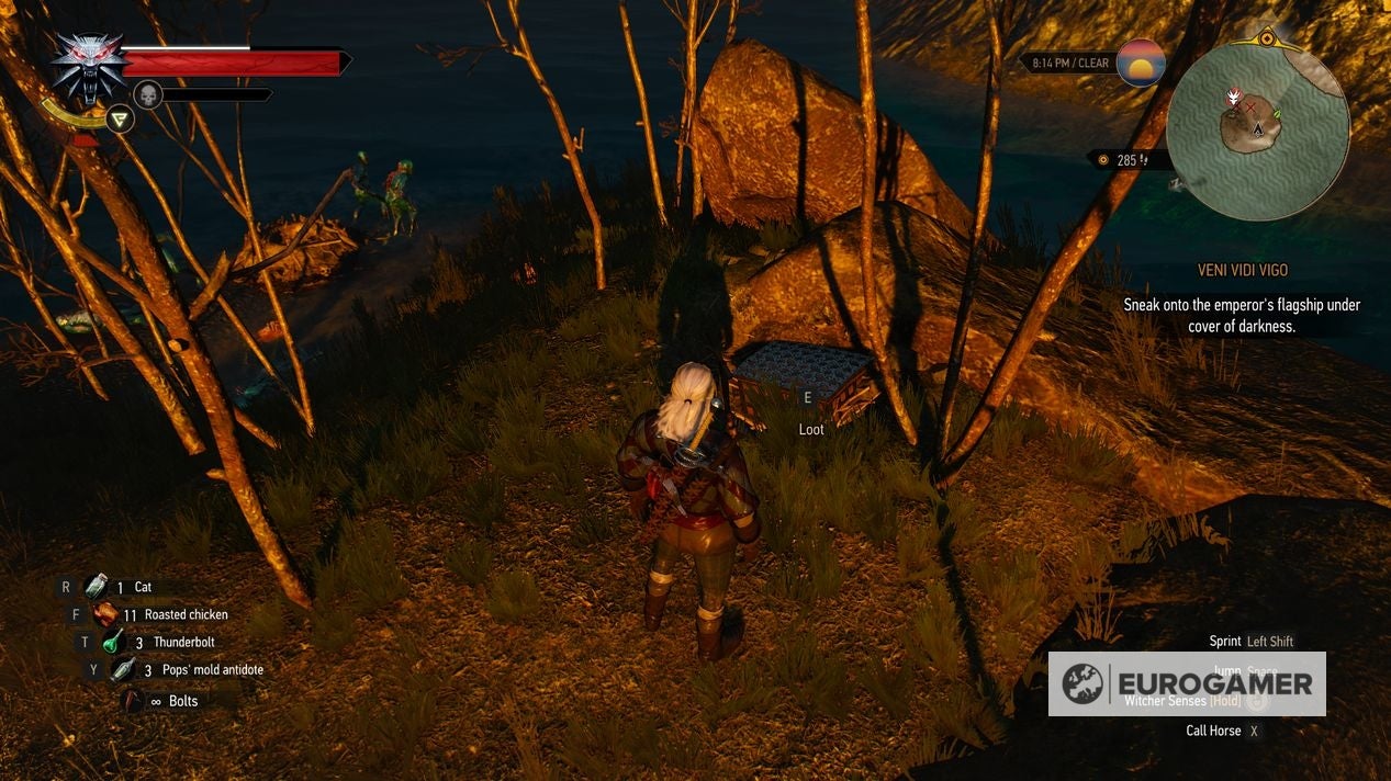 The Witcher 3 Ursine gear: How to get all Ursine armor and Ursine sword ...